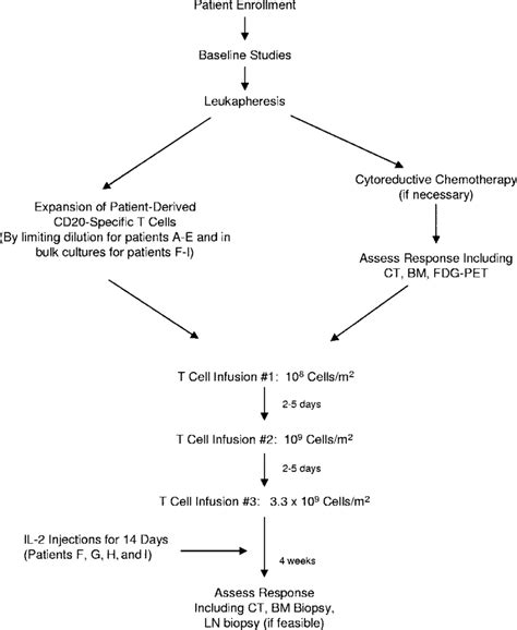 Schema Of Clinical Protocol Download Scientific Diagram