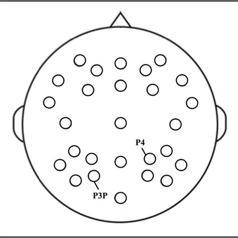 Positions Of The Scalp Electrodes In The Eeg Cap Representative