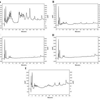 Reversed Phase HPLC Profiles Of Fractions Resulting From Download Scientific Diagram