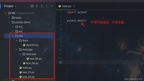 Pytest Csdn