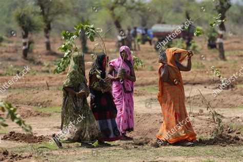 Women Plant Saplings Part Annual Tree Editorial Stock Photo Stock Image Shutterstock