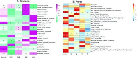 Functional Prediction Analysis Heatmap Showing Relative Functional Download Scientific Diagram