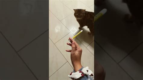 Pen Spinning Tutorial Youtube