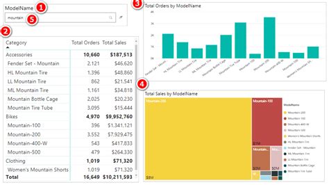 Text Filtering In Power Bi ️ Excelerator Bi Beginners