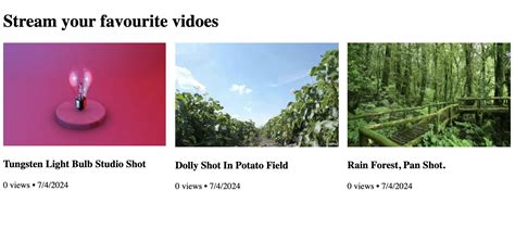 Build A Video Streaming App With Sveltekit And Directus Directus Docs