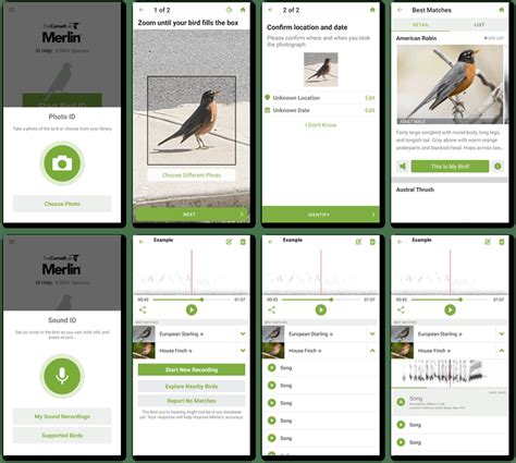 Merlin Is An Ai Based Bird Identification Mobile Phone App Users Download Scientific Diagram