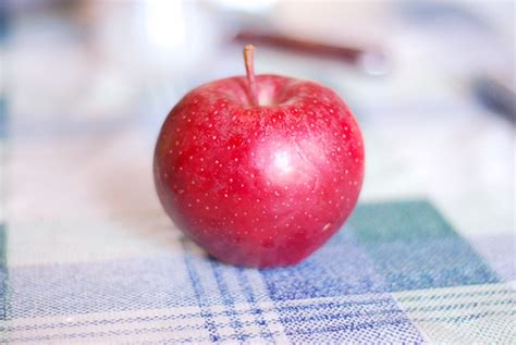 Apple 1 50 Mm Af 18 Test Maria Firsova Flickr