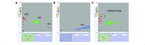 Representative Results Of Kasp Genotyping Assay A Kasp Marker With Download Scientific
