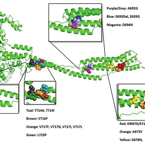 3d Structure Of The Human Amyloid Precursor Protein And The Location Of Download Scientific
