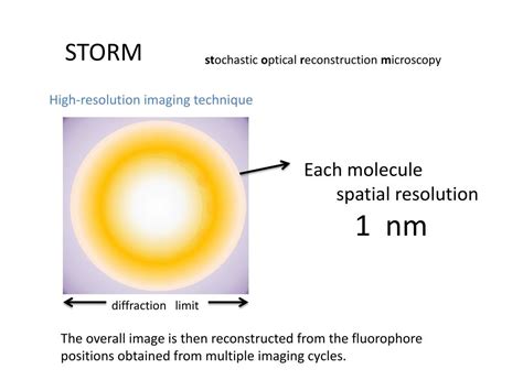 Ppt Three Dimensional Super Resolution Imaging By Stochastic Optical Reconstruction Microscopy