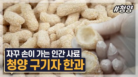 중독되는 맛의 인간 사료 청양 구기자 한과 여행가자 Youtube