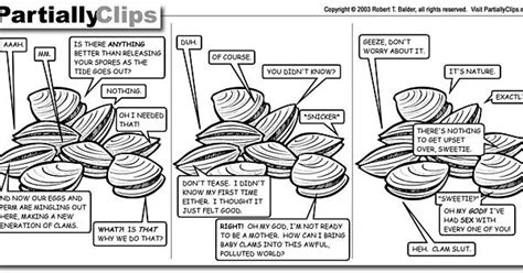 Clam Sex From Partiallyclips Album On Imgur