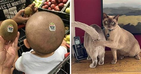 Esta Cuenta De Instagram Comparte Fotos Sin Contexto Y Estas Son 30 De