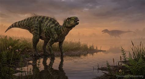 Iani Pictures And Facts The Dinosaur Database