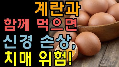 계란과 함께 먹으면 신경 손상 치매 위험 계란을 먹을 때 절대 이것과 함께하지 마세요 전문가가 경고하는 최악의 음식 조합 Youtube