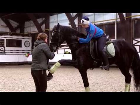 Как научить лошадь делать испанский шаг? Онлайн школа лагеря Эклектика ...