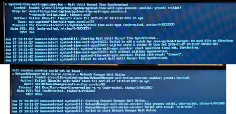 Help Home Assistant Host Suddenly Without Network Installation