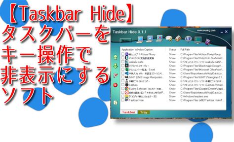 【autohidemousecursor】マウスを指定時間後に非表示にするソフト ナポリタン寿司のpc日記