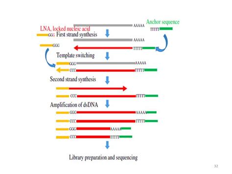 Single Cell RNA Sequencing Methods And Applications PPTX