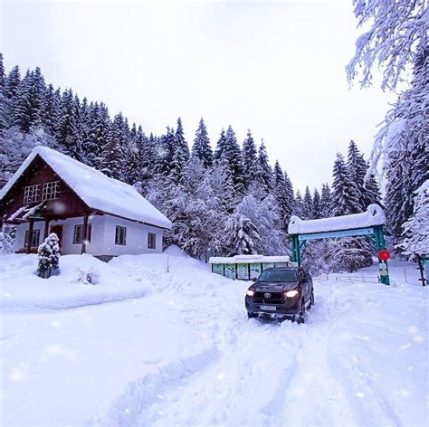 Охорона працює задля збереження лісової фауни🦌 Цьогорічна зима видалася багатосніжною Про те як