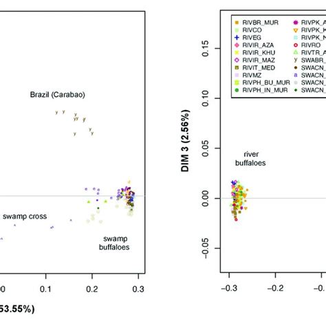 Multi Dimensional Scaling Plot Of Dimension 1 Vs 2 Left And 1 Vs Download Scientific