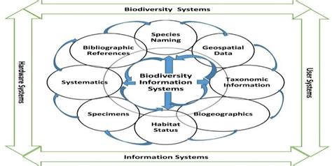 components of integrated online biodiversity database itis 2017 download scientific diagram