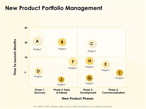 New Product Portfolio Management Ppt Powerpoint Presentation Designs