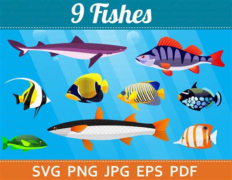 Funny Fish Clipart Funny Fish Png Fish Graphics Fish Illustration