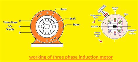 Three Phase Induction Motor Construction And Working Pdf