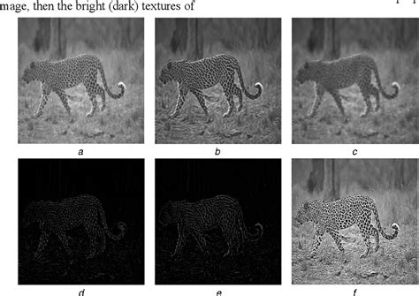 Figure 1 From Shock Filter Based Morphological Scheme For Texture