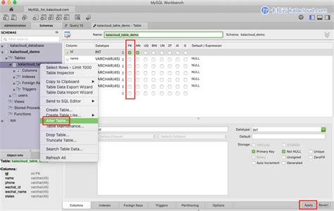 Mysql Workbench 使用教程 如何使用 Workbench 操作 Mysql Mariadb 数据库中文指南 卡拉云
