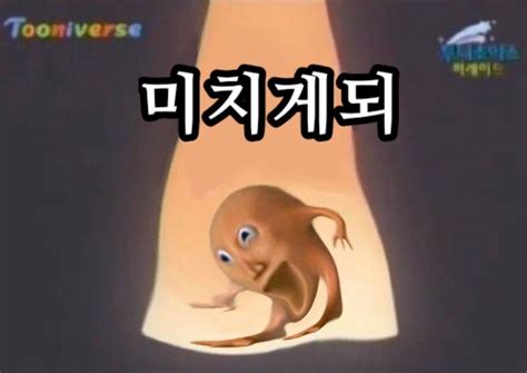 명수짤에 있는 송다은님의 핀 2024 웃긴 밈 웃긴 표지판 새끼 여우