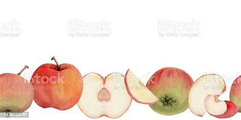 손으로 그린 수채화 사과 과일 익은 전체 및 조각 빨간색과 녹색 색상 원활한 가로 배너입니다 흰색 배경에 격리 벽 예술 결혼식 인쇄 직물 표지 카드를위한 디자인 건강한