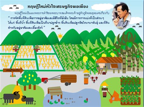 เทศบาลตำบลท้ายดง ปรัชญาของเศรษฐกิจพอเพียง