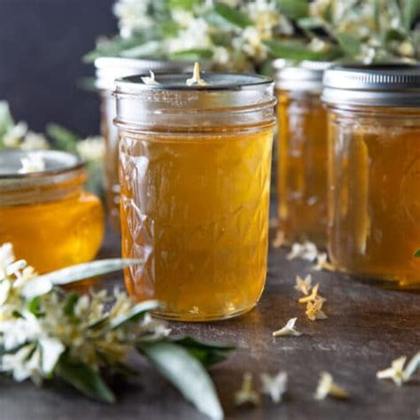 Honeysuckle Jelly Binkys Culinary Carnival