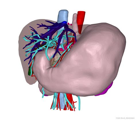 Vue3three内存泄漏问题threejs在vue中内存泄露 Csdn博客