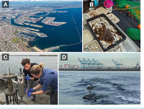 Figure 2 From A Managers Guide To Using Edna Metabarcoding In Marine