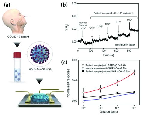 Graphene Field Effect Transistor Gfet Biosensor For The Detection Of Download Scientific