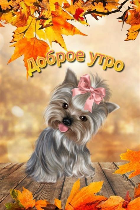 Пин от пользователя Ася Алексанян на доске Открытки Доброе утро