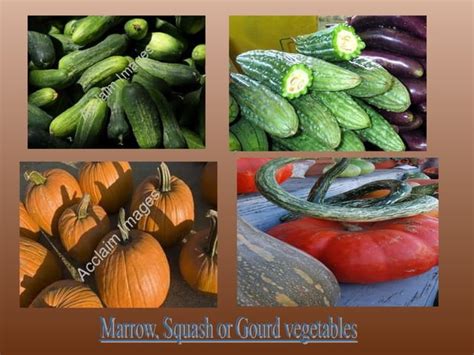 Classification Of Commodities Ppt Desserts And Baking Food And Drink