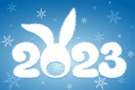 Cute Fluffy White Cartoon 2023 New Year Number With Rabbit Tail And