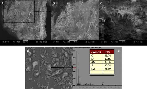 Sem Micrographs Of Cas Ad And Eds Spectrum E Download Scientific