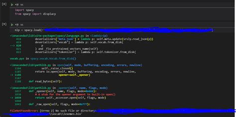 custom parser model loading error usage prodigy support