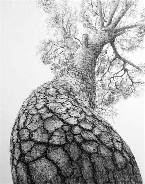 소나무 연필화 스케치 소묘 나무그리기 취미 편입미술 네이버 블로그