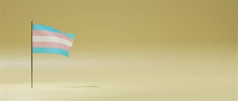 3d 렌더링 3d 일러스트레이션 트랜스젠더 프라이드 플래그 텍스트 공간이 있는 수평 배너 0명에 대한 스톡 사진 및 기타 이미지 Istock