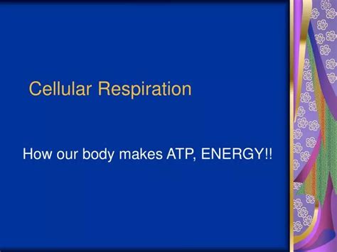 Ppt Cellular Respiration Powerpoint Presentation Free Download Id
