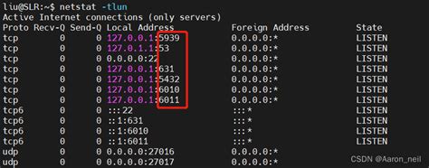 Linux常见命令 21 网络命令 pingifconfiglastlastlogtraceroutenetstat linux
