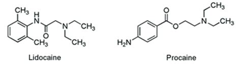 Chemical Structures Of Lidocaine And Procaine Download Scientific Diagram