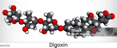 디곡신 분자 심방 세동과 심부전 증상을 관리하는 데 사용되는 심장 글리코사이드 심혈관 약물입니다 분자 모델 3d 렌더링 3차원 형태에 대한 스톡 벡터 아트 및 기타 이미지