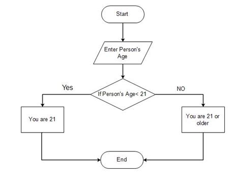 Solved Draw A Flowchart For The Following Situation Input A Persons Age Course Hero